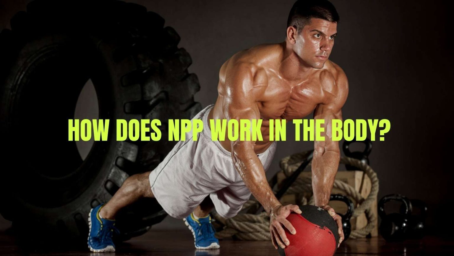 A Guide to Nandrolone Phenylpropionate – Cycle, Stacking, and What to ...