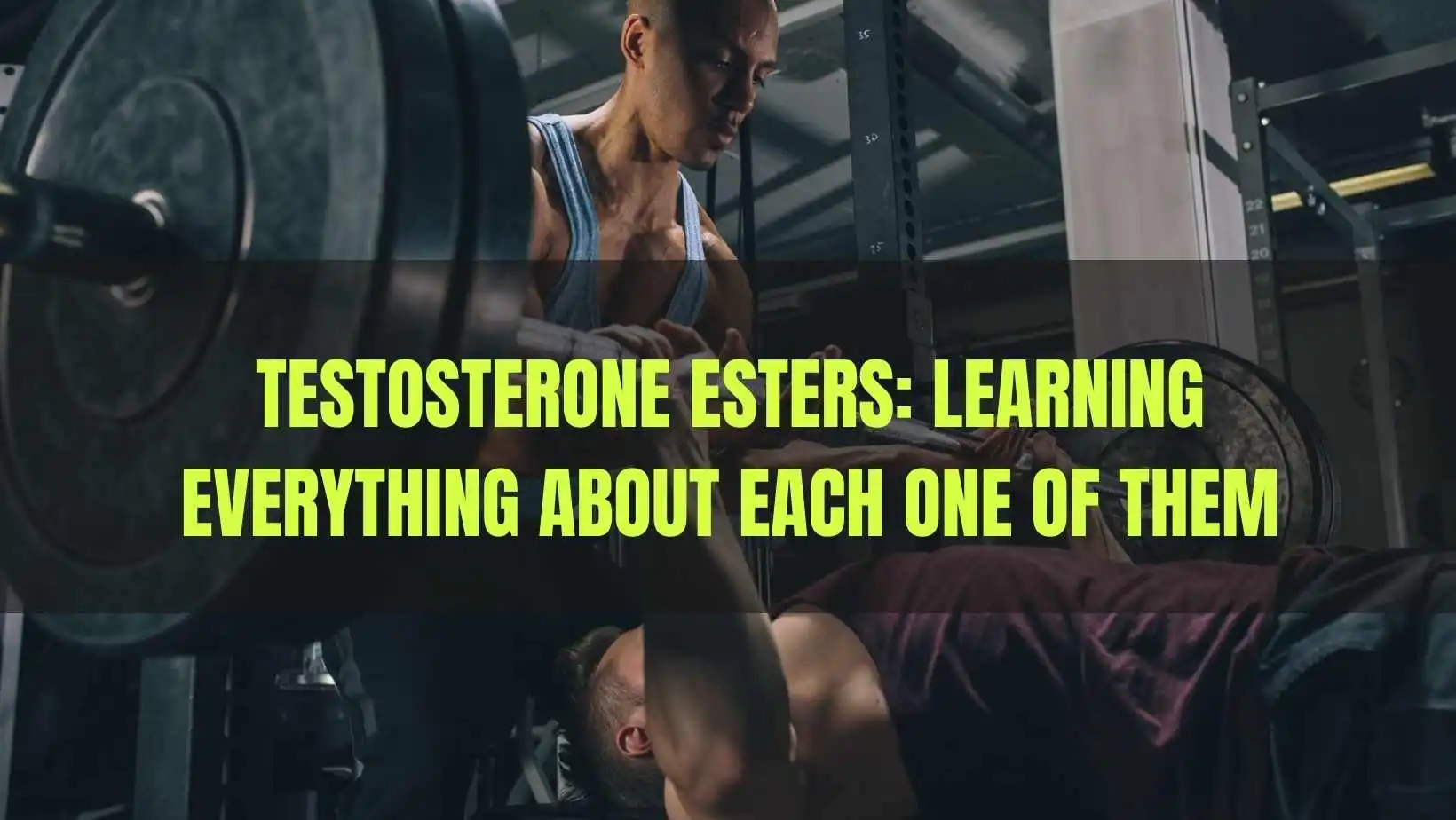 Testosterone Esters: Learning Everything About Each One of Them ...